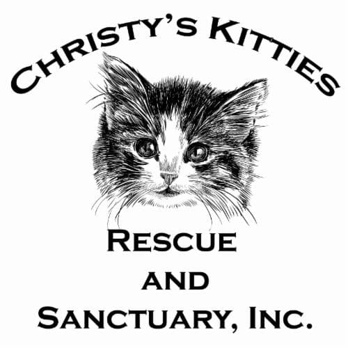 Fundraiser by Christy Brooks : Support Christy's Mission to Save Cats