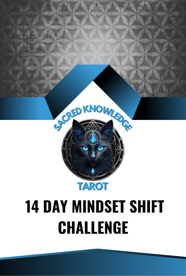 SKT 14 Day MINDSET Challenge eBook | PayPal