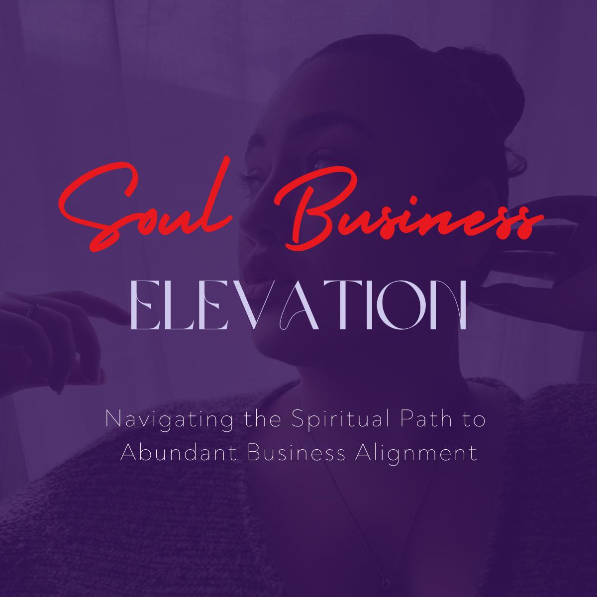 SOUL BUSINESS ELEVATION | PayPal