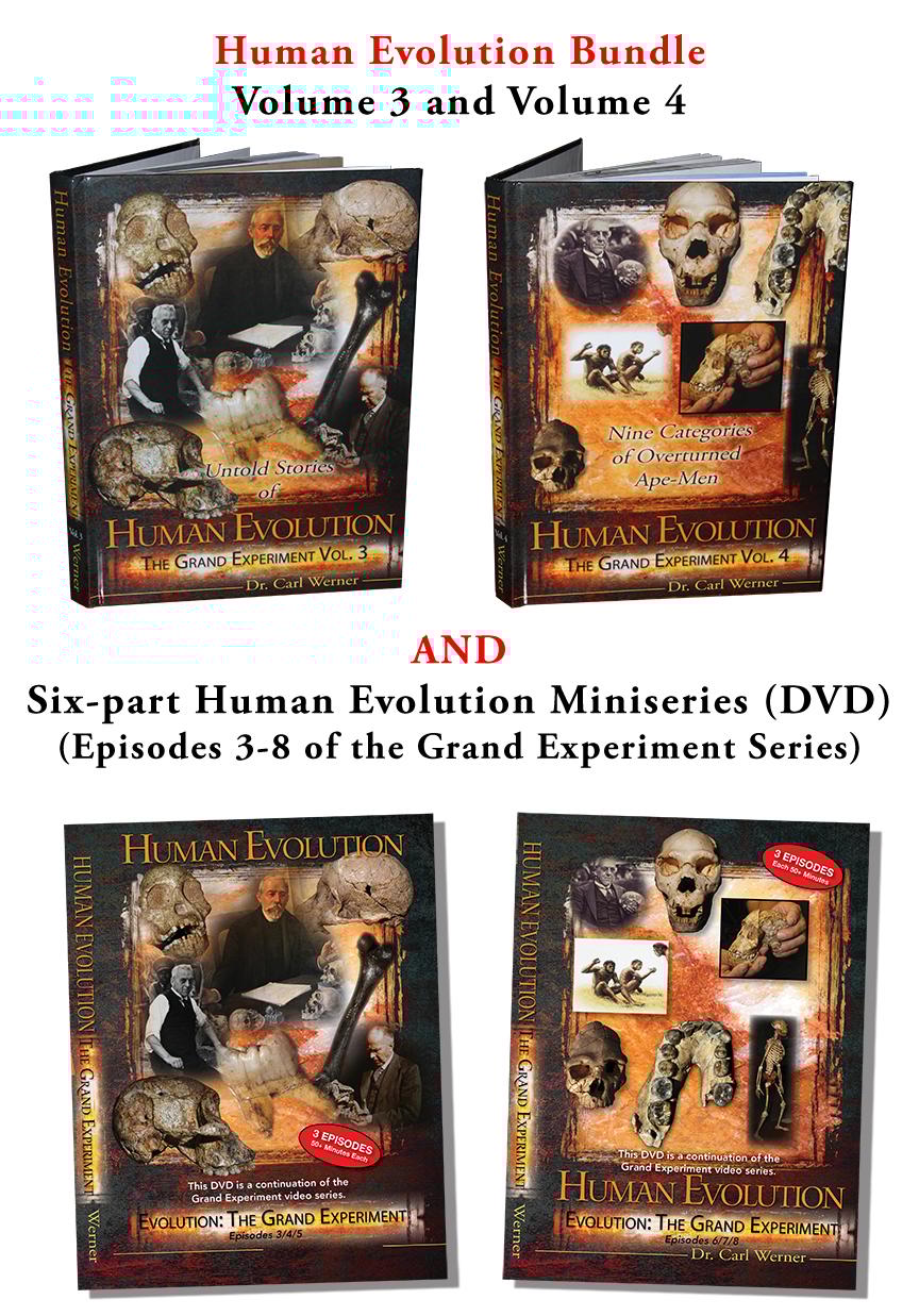 Human Evolution Bundle | PayPal